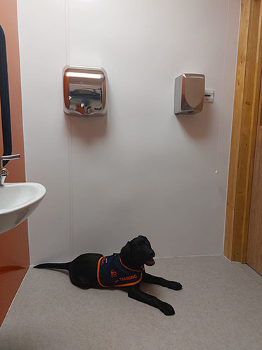 Dogs for Autism testing hand dryers - Handy Dryers