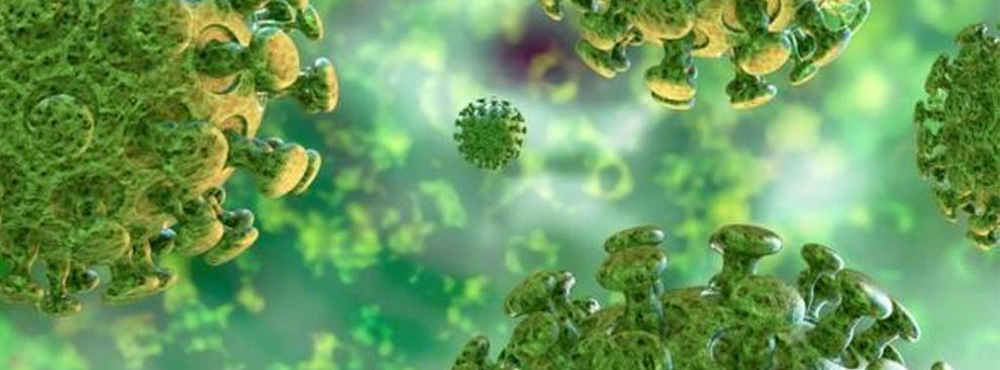 Lessons learned from coronavirus - Handy Dryers